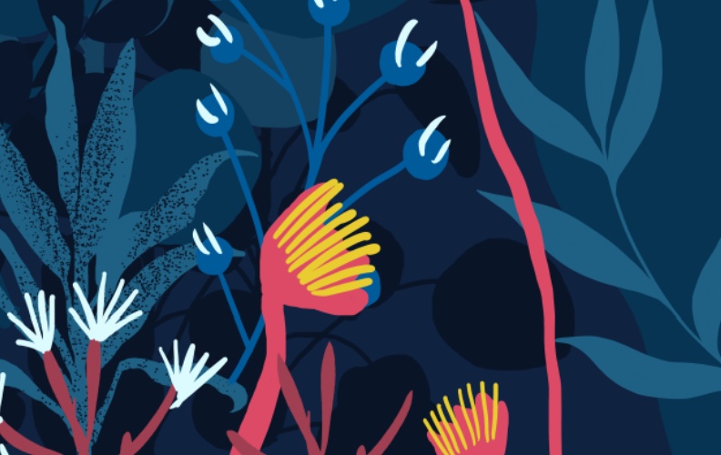 The Dove Translation - French Bible Society