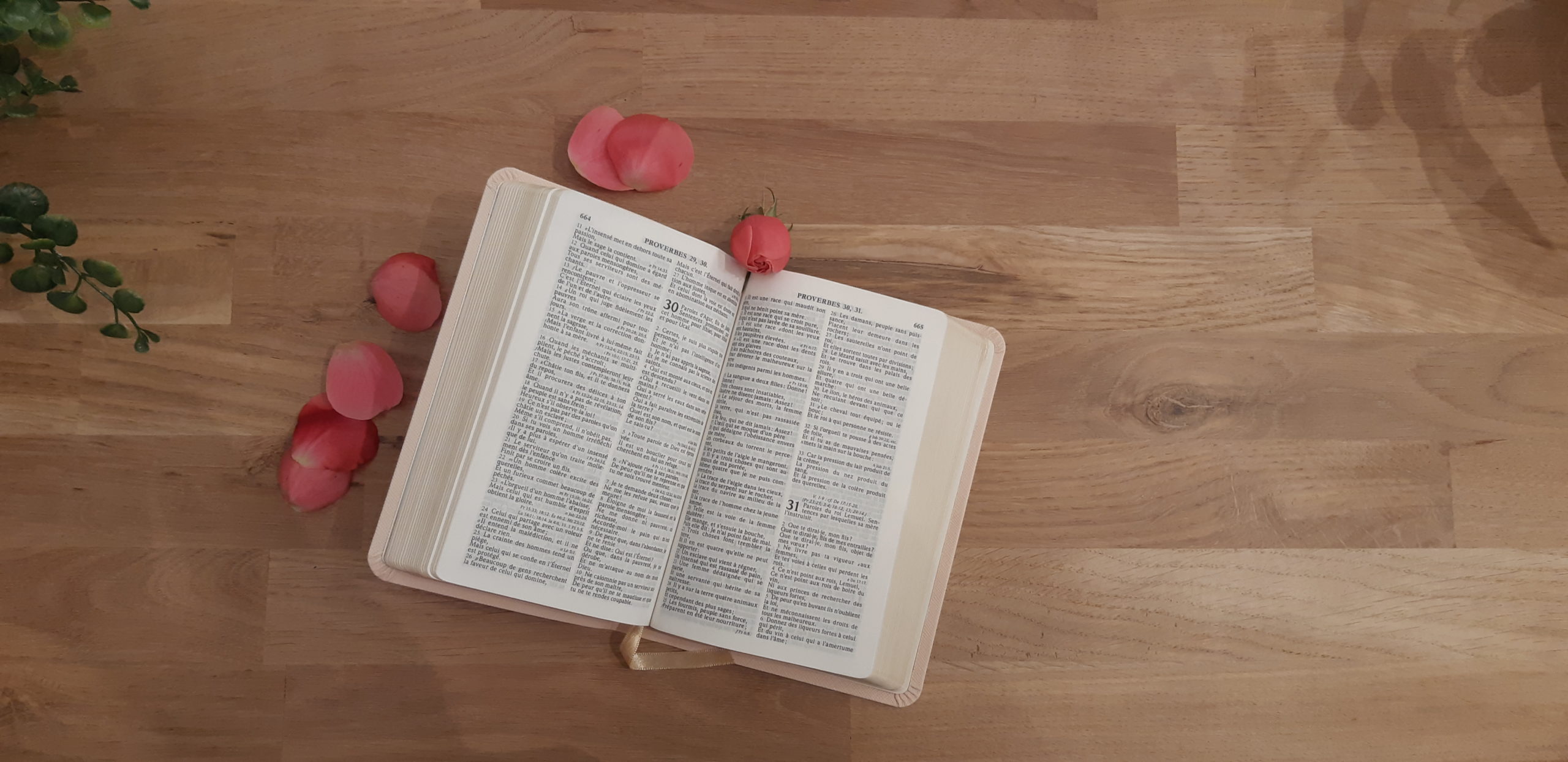 The New Segond Bible - French Bible Society