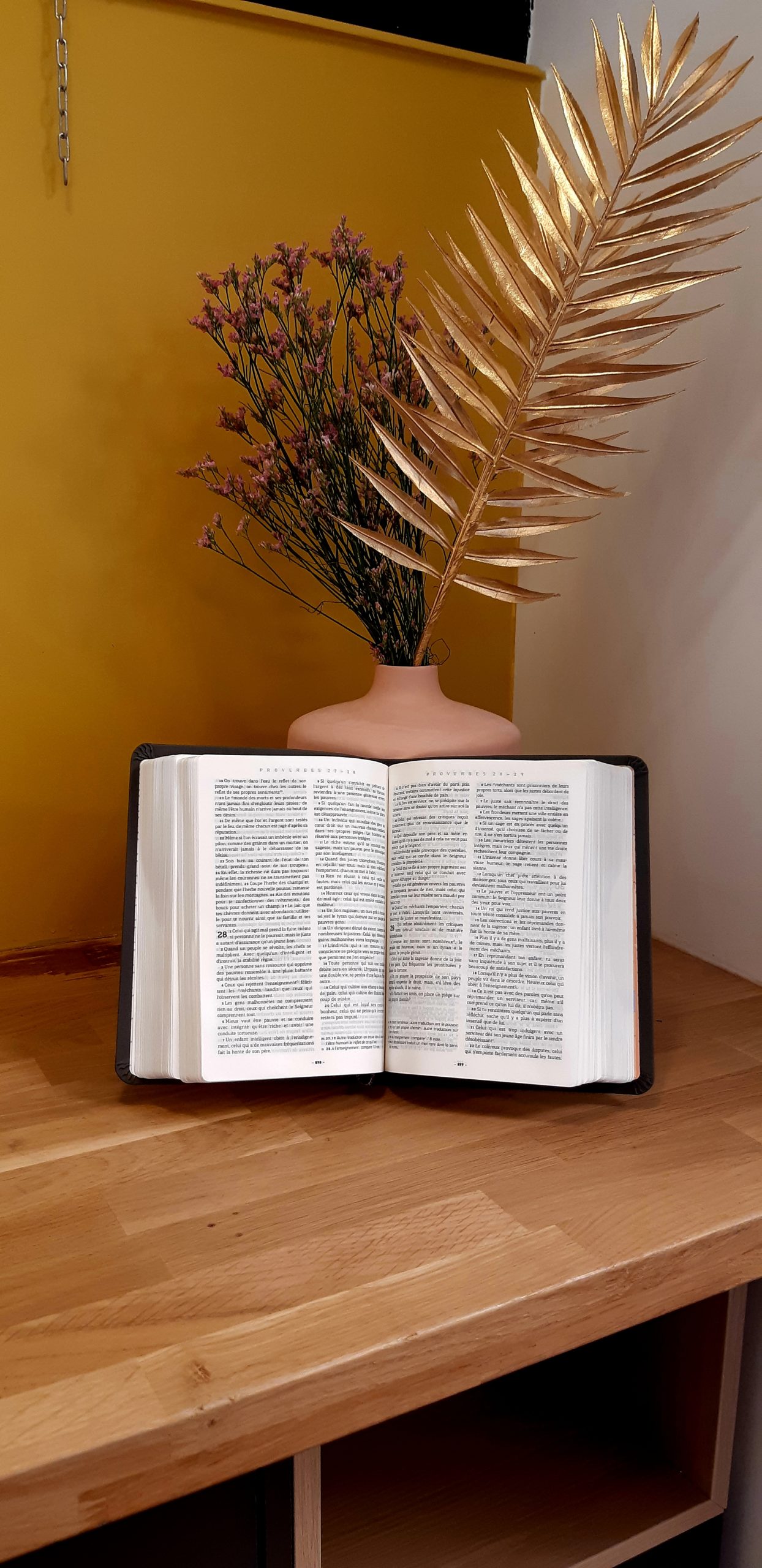 The New French Bible - French Bible Society